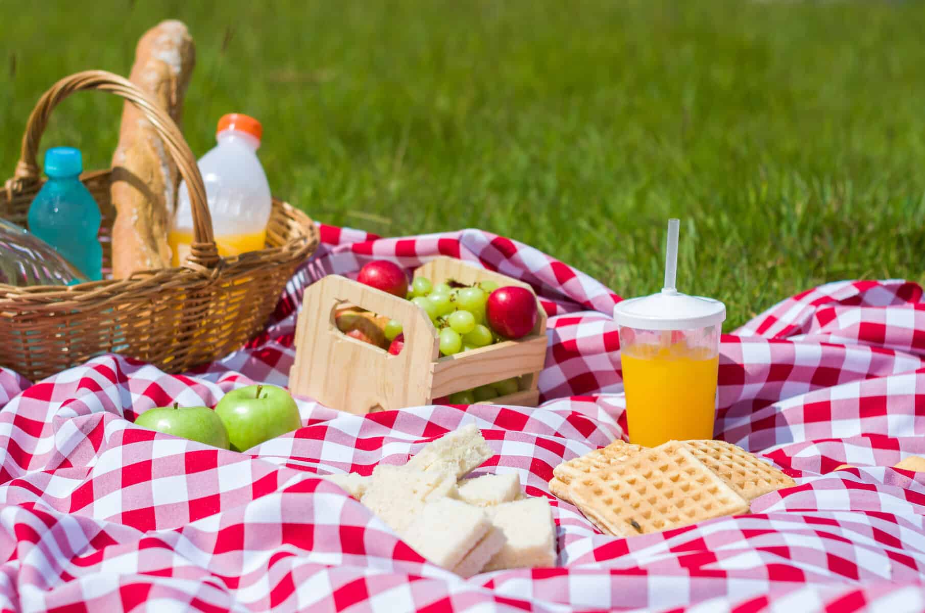 Top 10 Must-Know Spanish Sayings And Proverbs