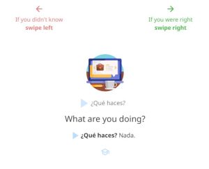 DuoCards Review (2025): Language Learning With Flashcards