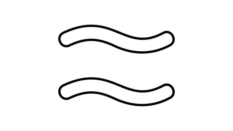 85 Spanish Cognates With Explanations And Examples