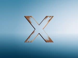 17 Spanish Words That Start With X: Interesting Facts Of X
