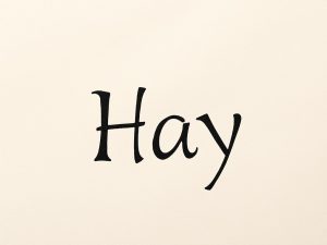 When To Use The 4 Indefinite Articles In Spanish?